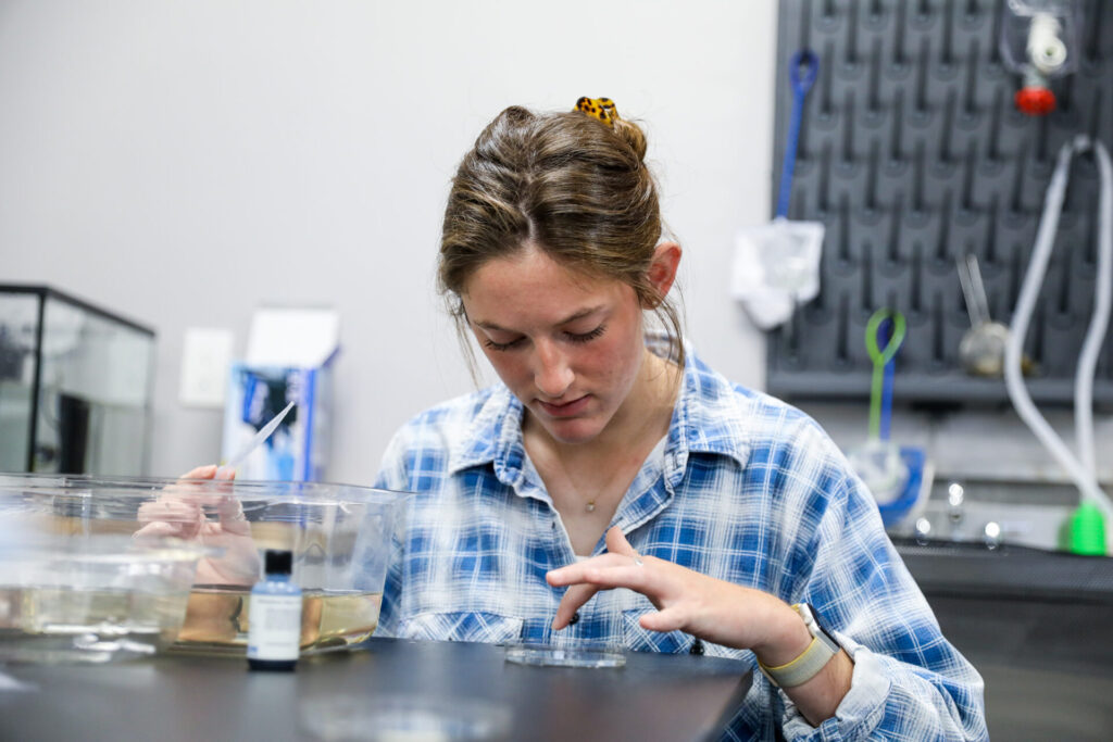 Red Tide Research Presented by Florida College | Florida College